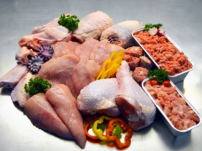Truthahn Marte - Lebendgeflügel, Putenfleisch, Hühner aus Vorarlberg.